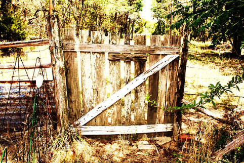 What happens if you show up at the Gate with no ticket? | Burning Man ...