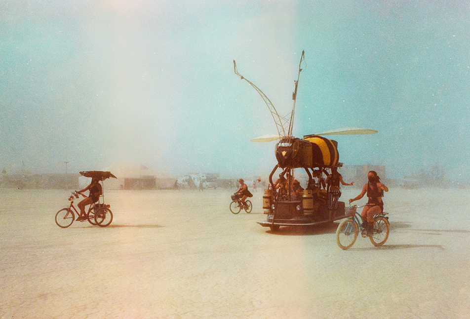 You’re Invited! Cross-Pollinate Community, Curiosity, and ...